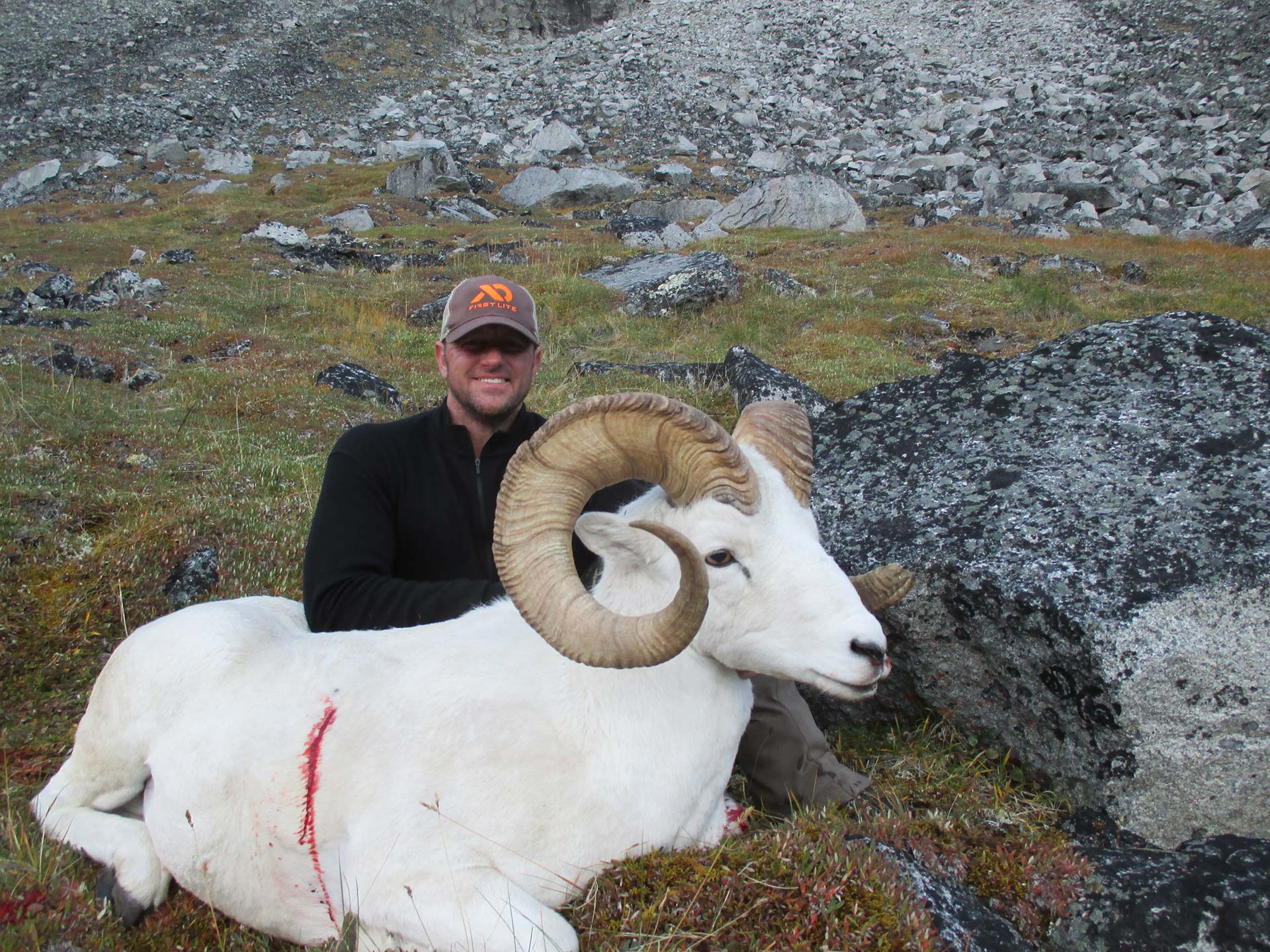 Dall Sheep - Ruby Range Outfitters
