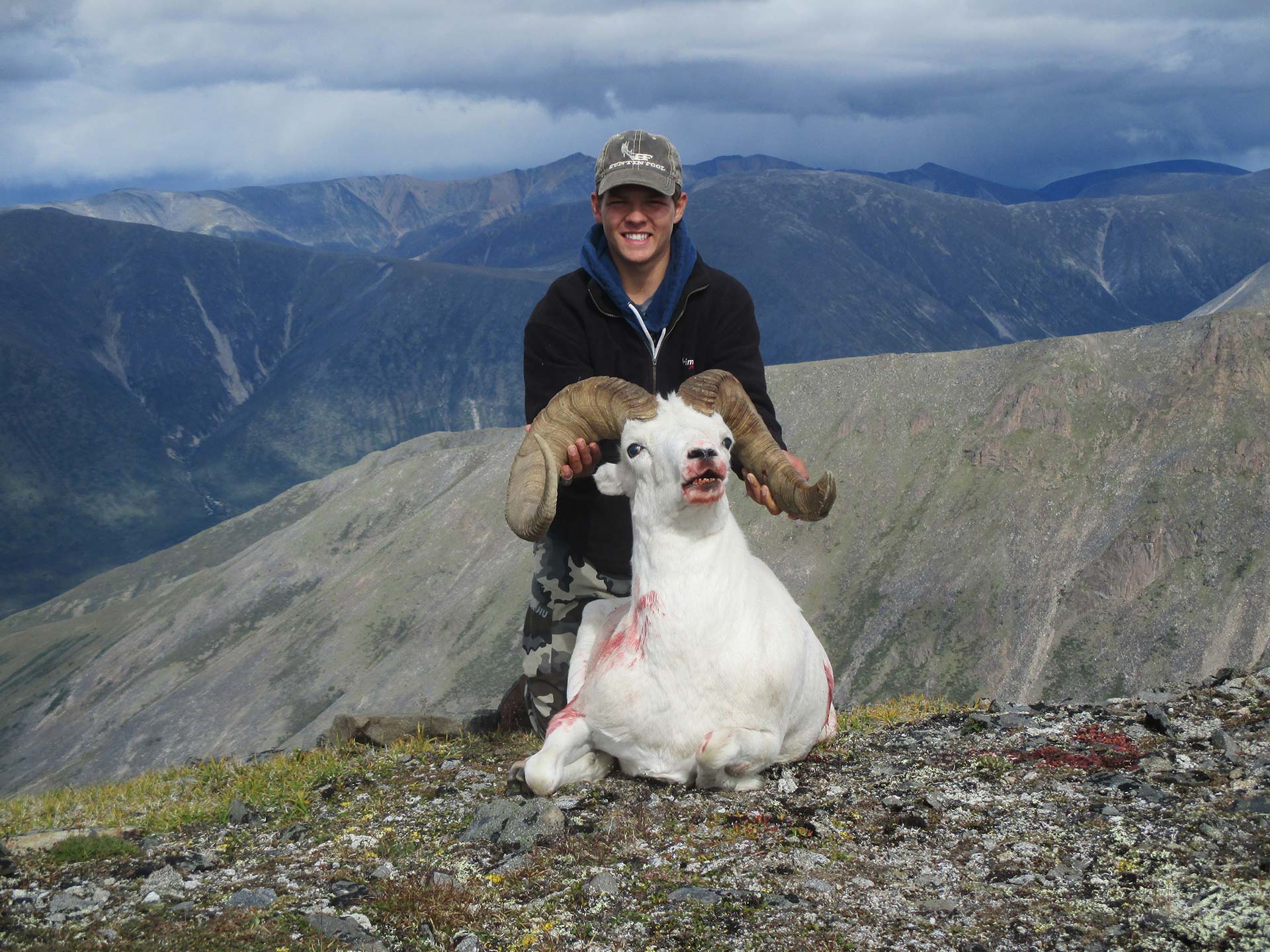Dall Sheep - Ruby Range Outfitters