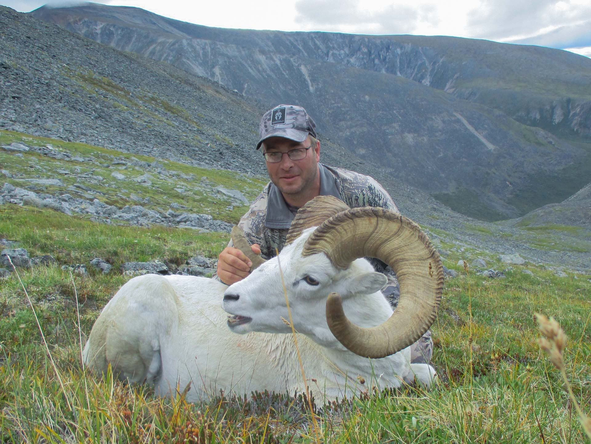 Dall Sheep - Ruby Range Outfitters