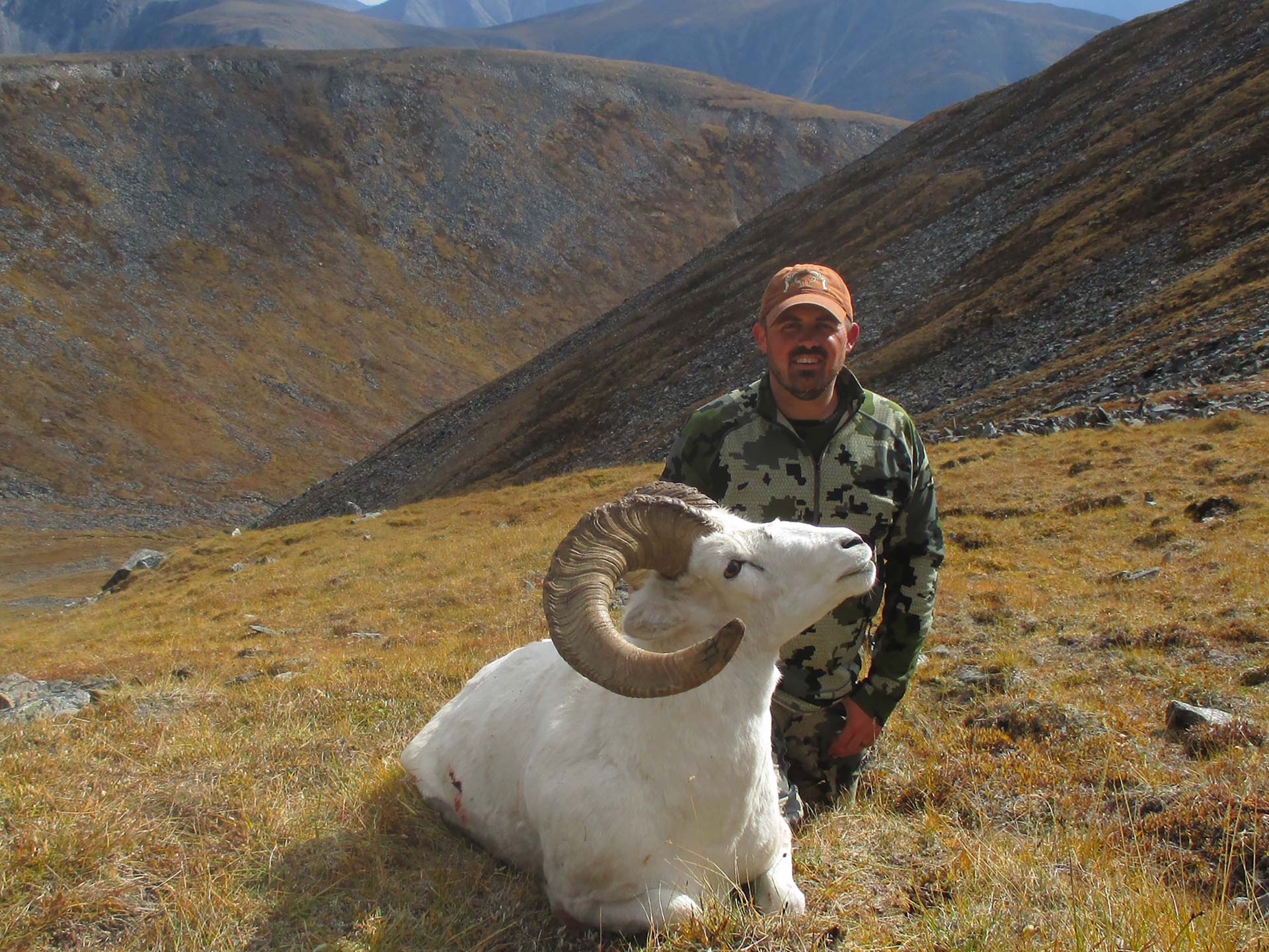 Dall Sheep - Ruby Range Outfitters