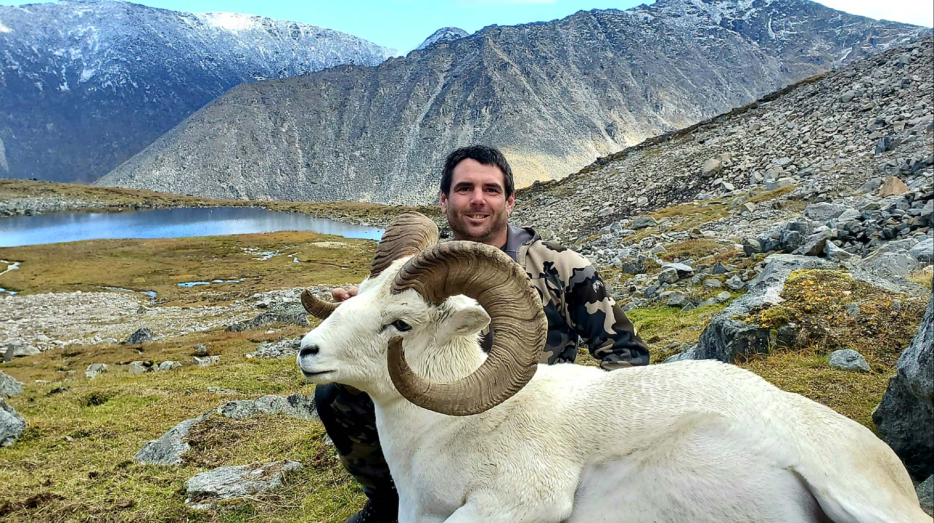 Dall Sheep - Ruby Range Outfitters
